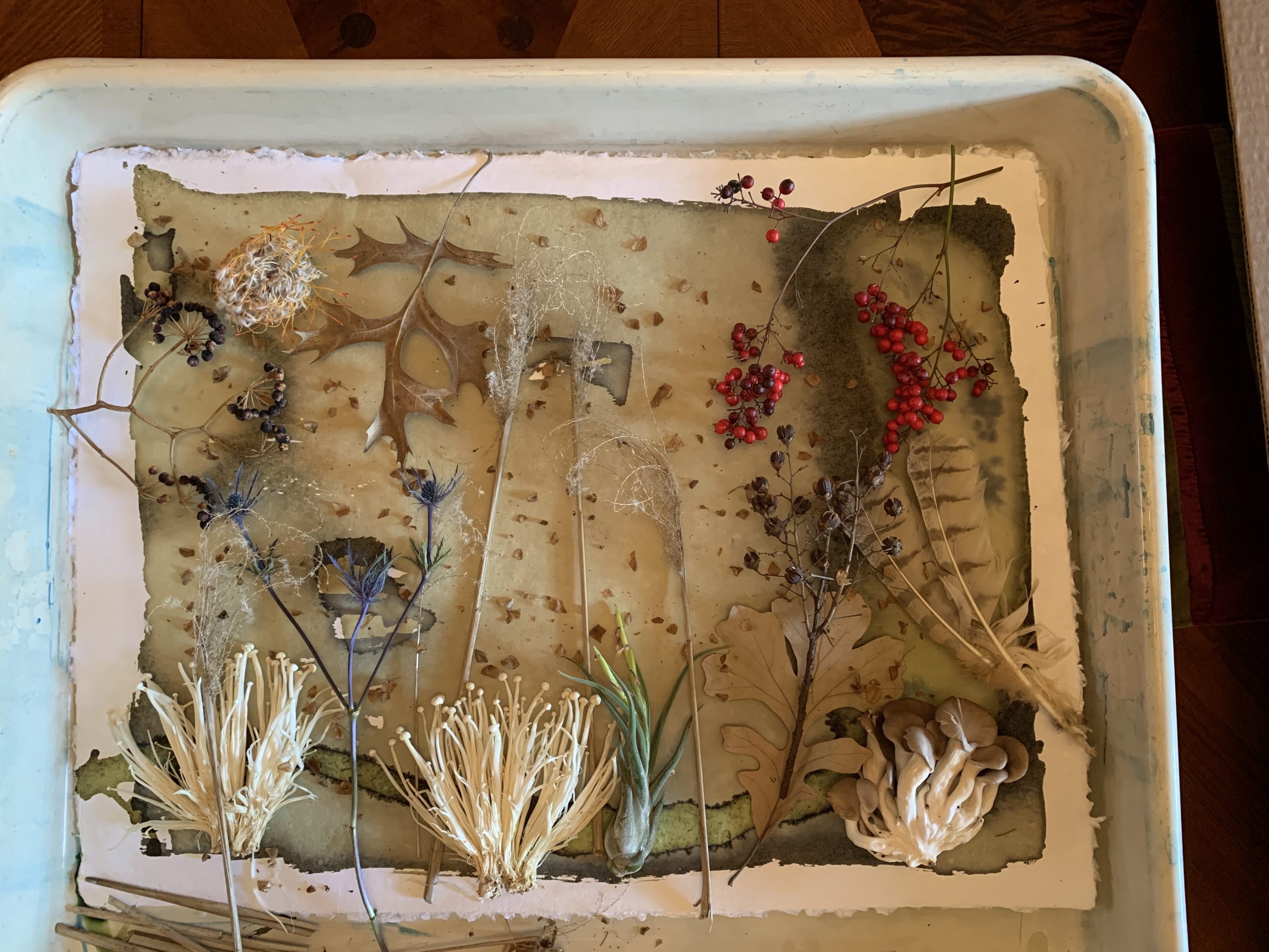 Carol Henry — Women’s Ordinary Magic • a FotoSaga Photography Retreat